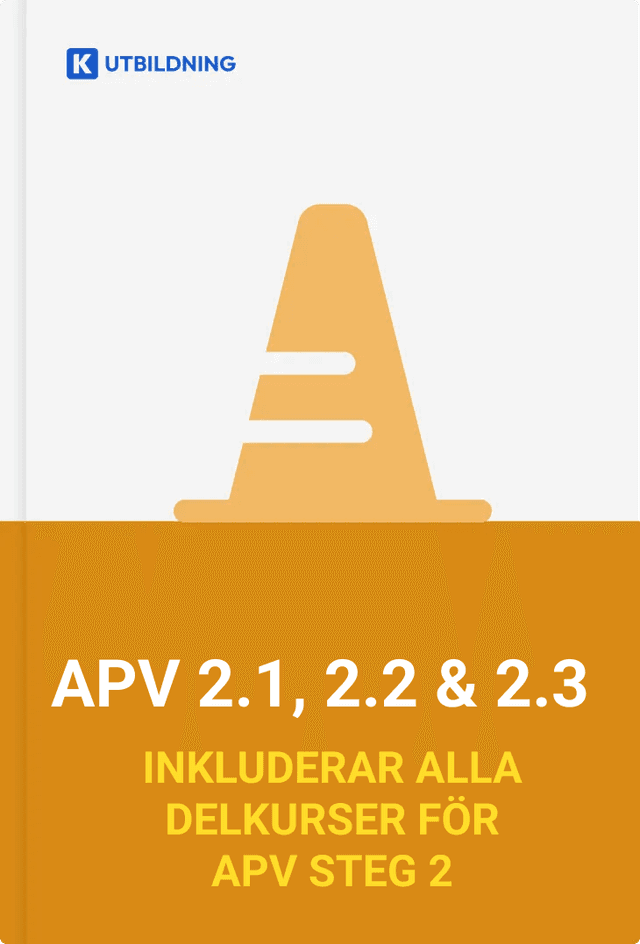 APV 2.1, 2.2 & 2.3 | K-Utbildning